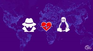 Why Real Hackers Prefer Linux Distro Over Other OS